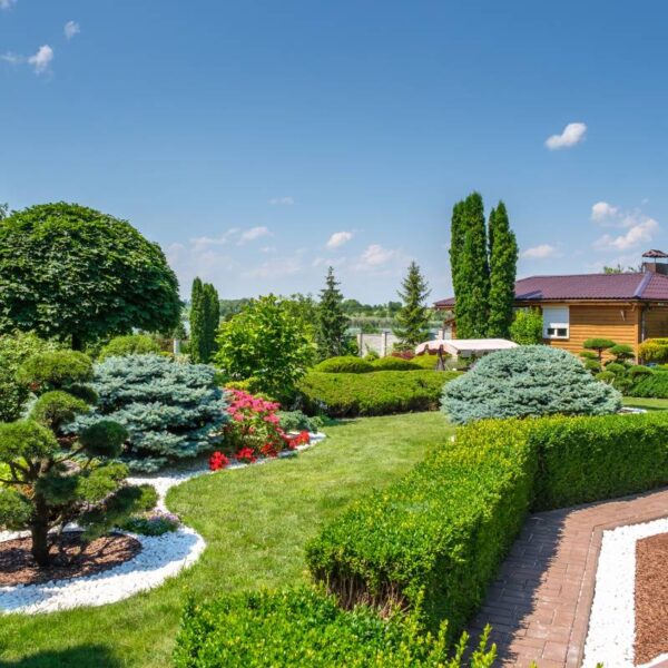 Landscape Design in India | Lucent Gardens