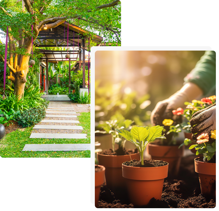 Lucent Gardens: Landscaping company in India