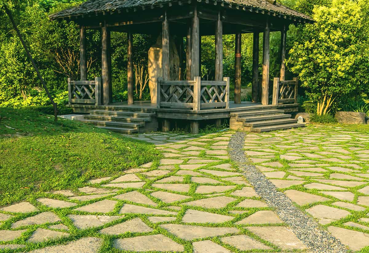 Lucent Gardens: Landscaping company in India