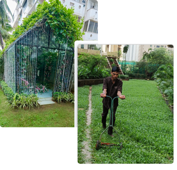 Lucent Gardens: Landscaping company in India