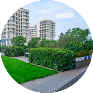 Lucent Gardens: Landscaping company in India